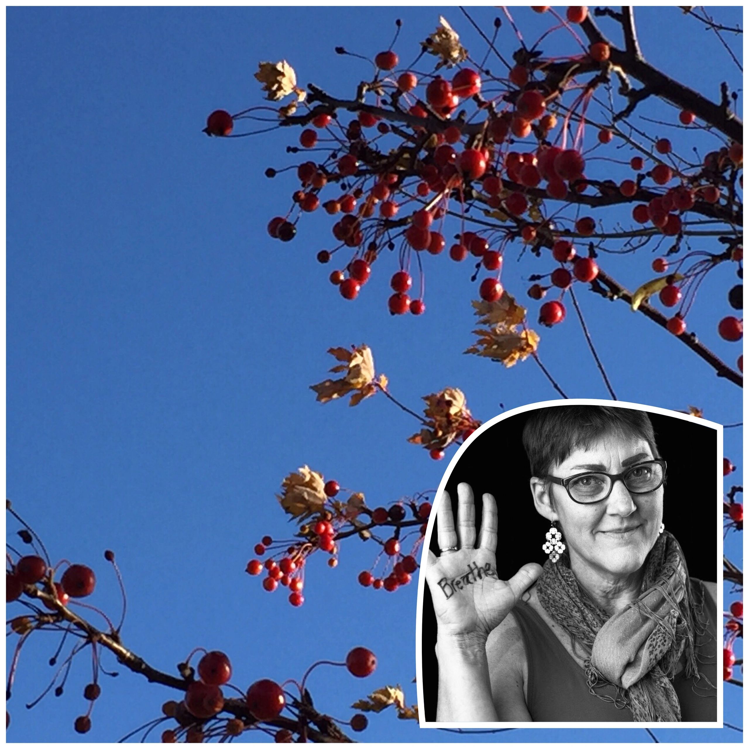 Paula Gardner - Words of Encouragement, Inspiration