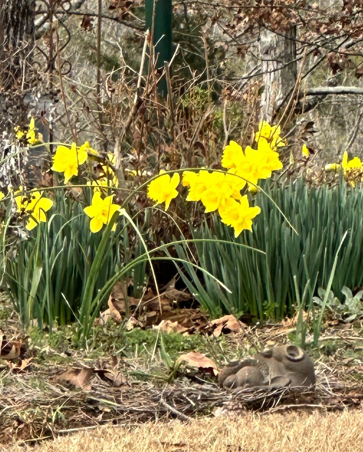 2025 Season Kickoff - Individual Stableford #1