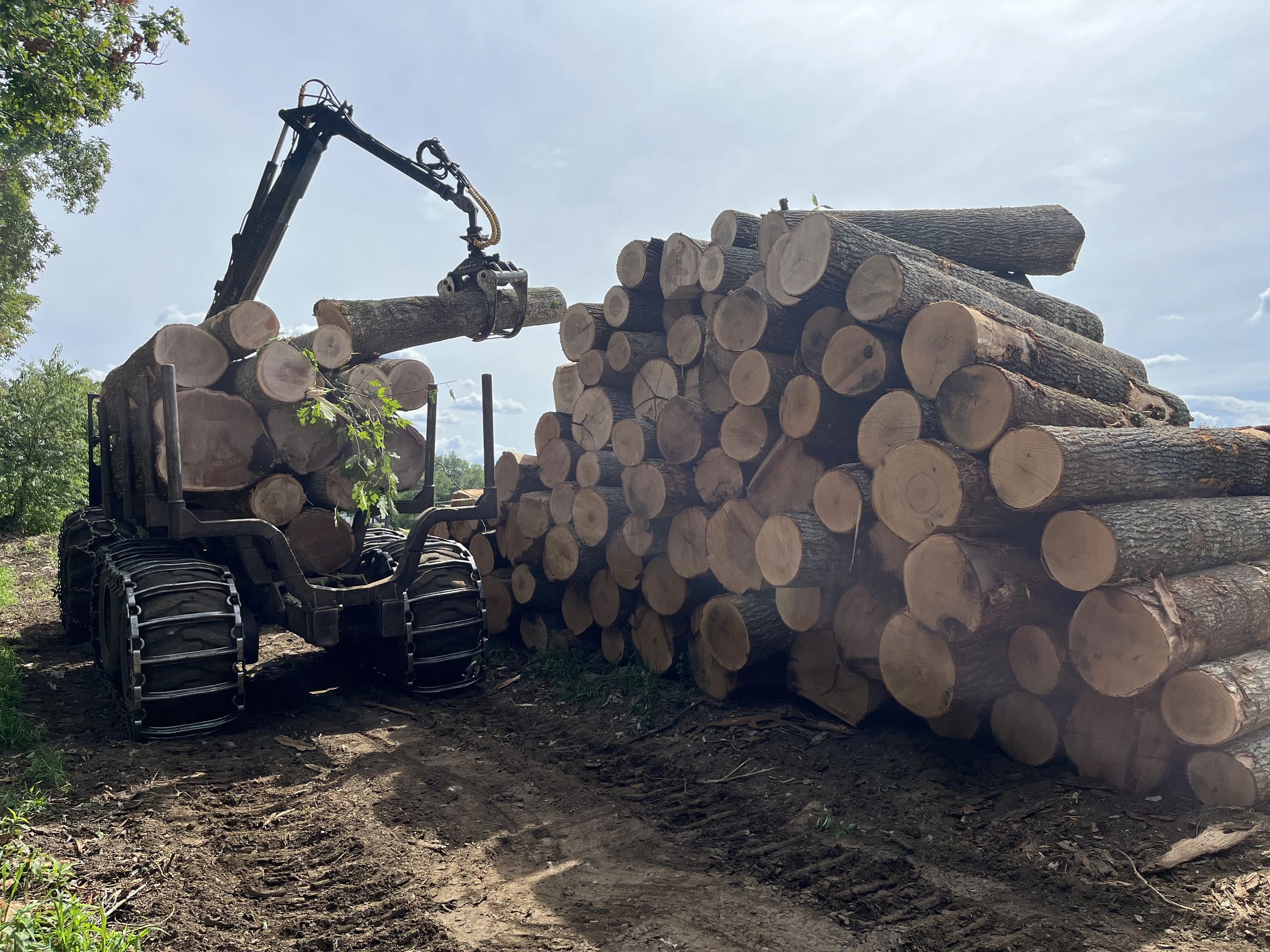 Frink Landworks | Logging, Firewood & Excavation in Eastern CT
