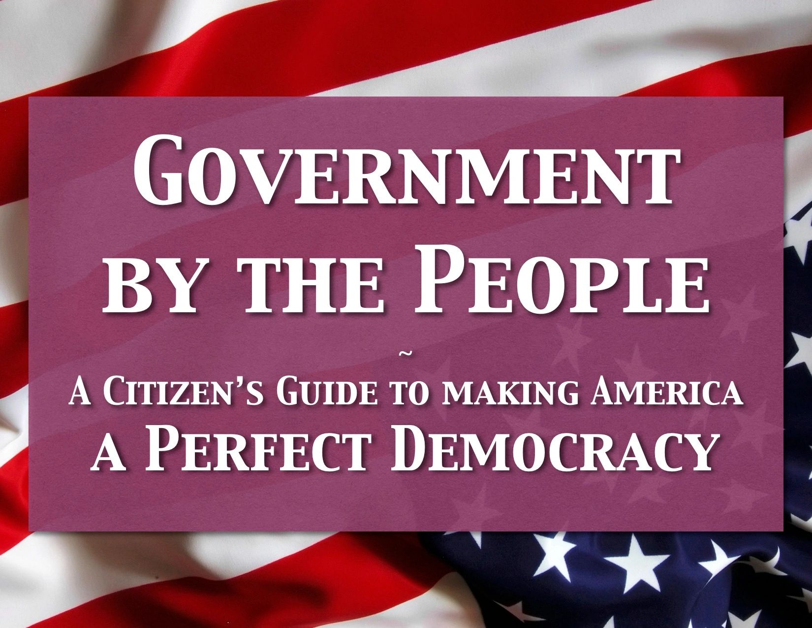 A Perfect Democracy