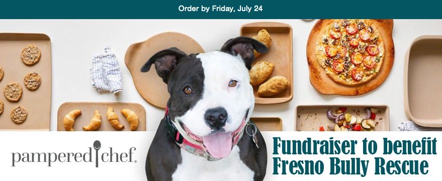 Shop | Fresno Bully Rescue