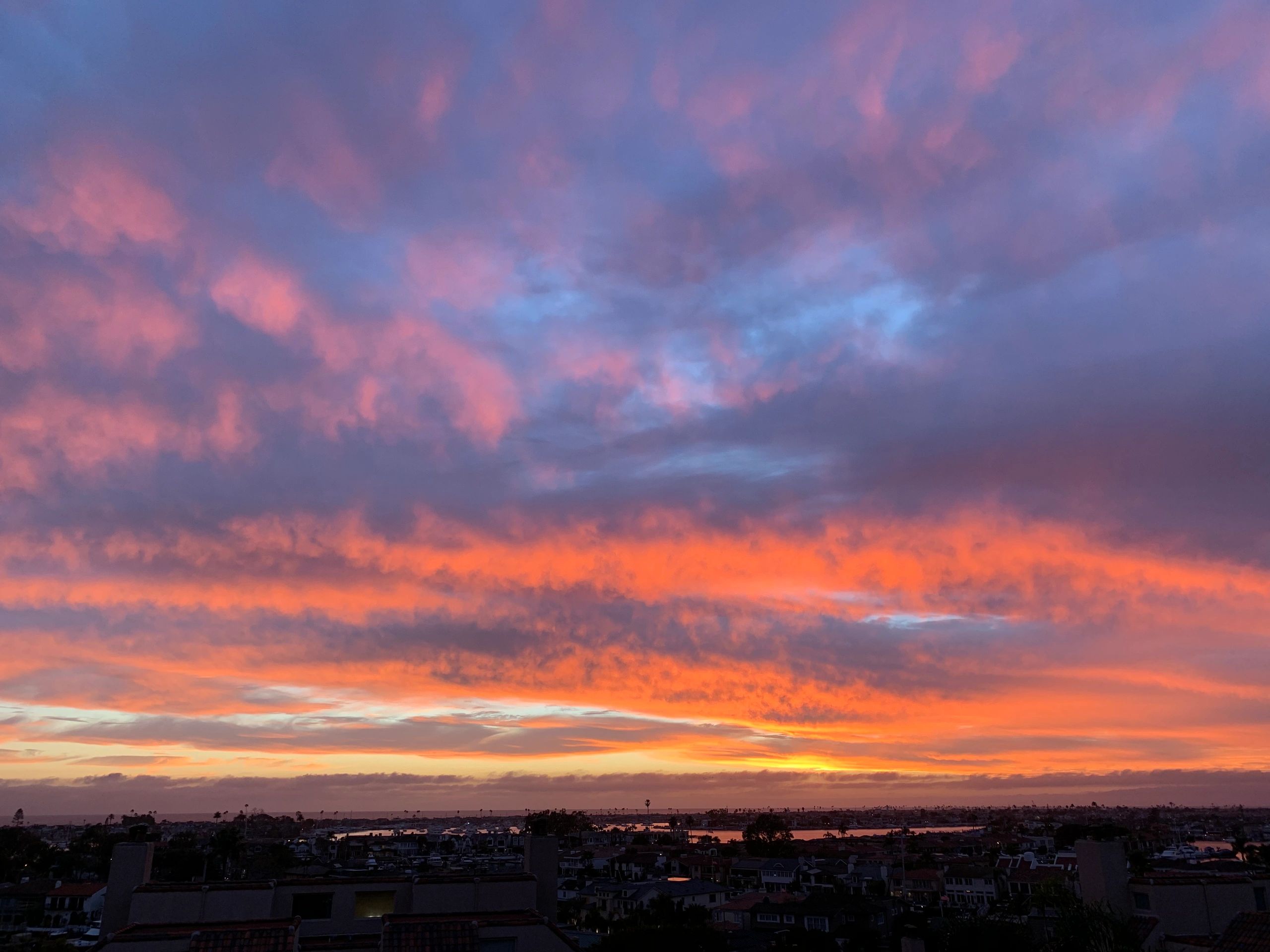 Monterey’s Mountain: A Savvy Health Guide Blog for YOU!