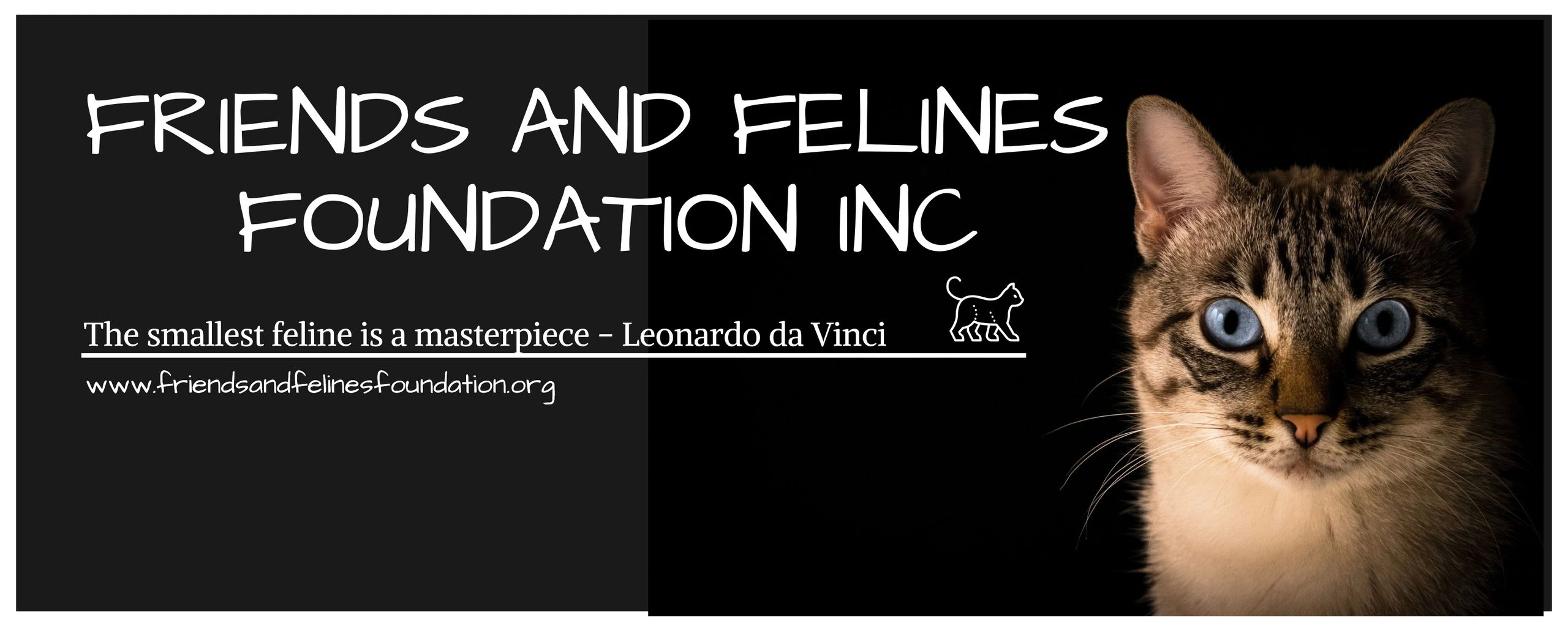 FRIENDS AND FELINES FOUNDATION