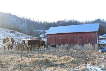 Images | Horstmann Homestead Farm and Events