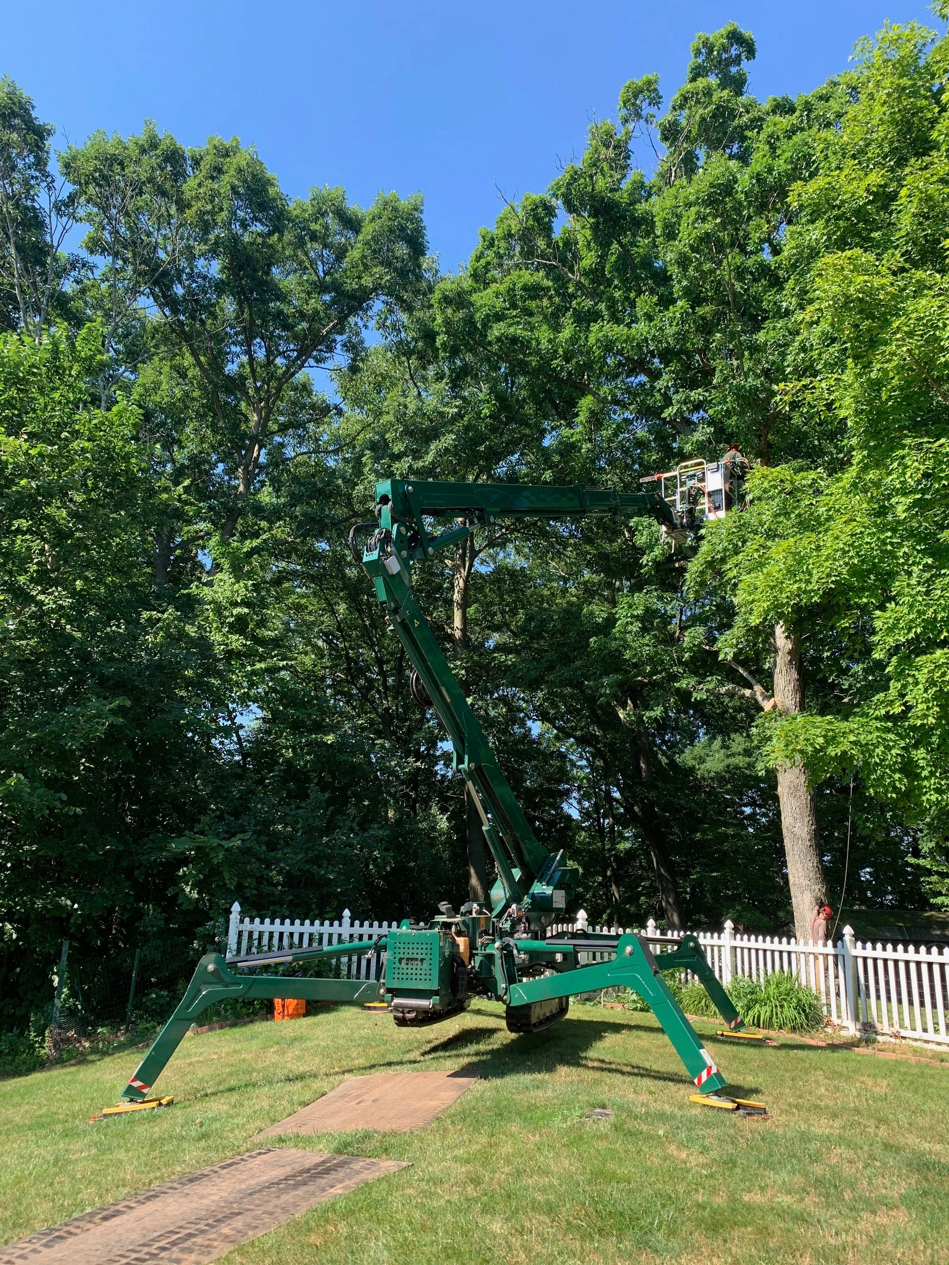 Morin Tree Service