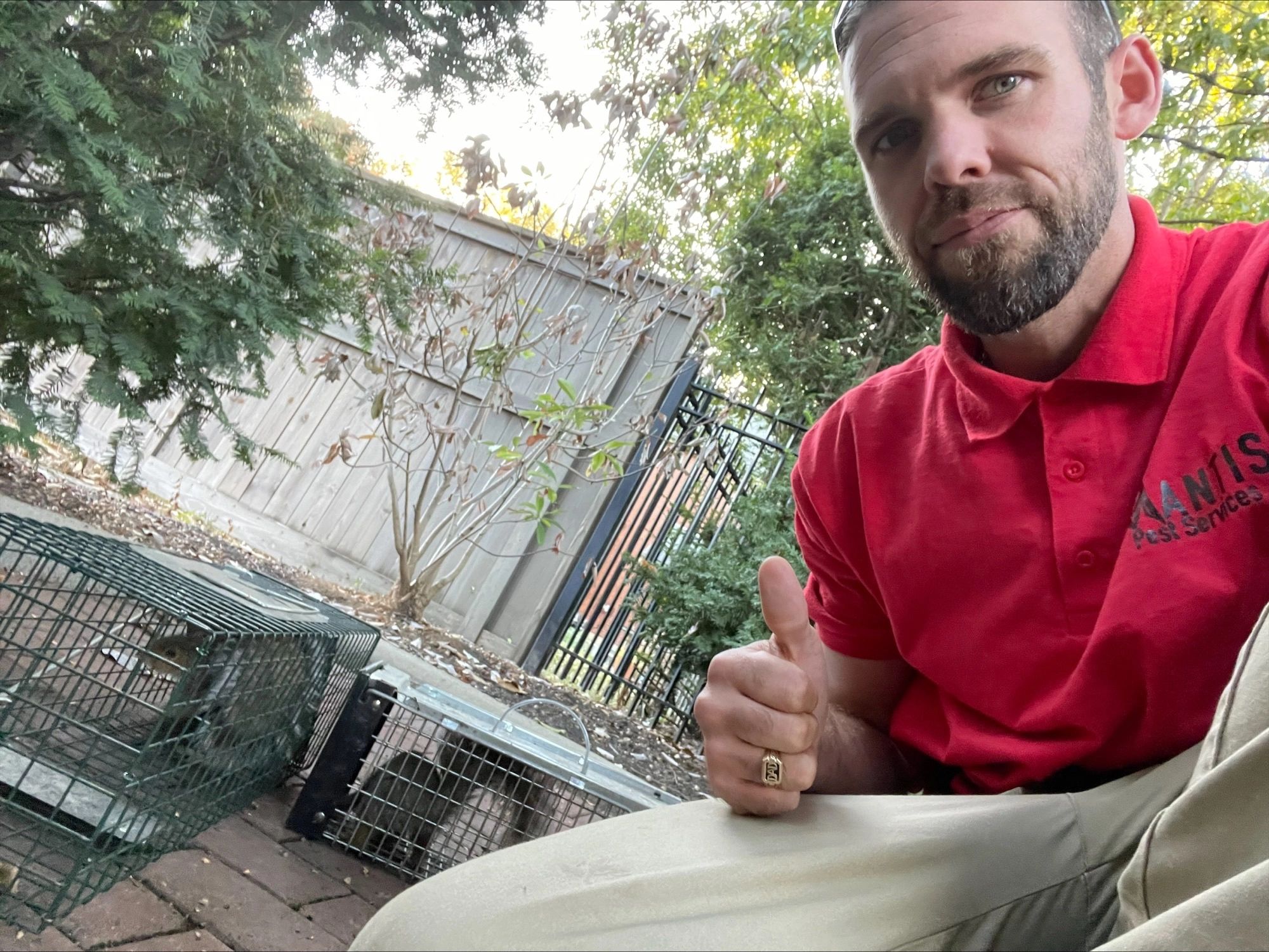 Mantis Pest Services - Pest Control, Wildlife Removal, Exclusions, Free ...