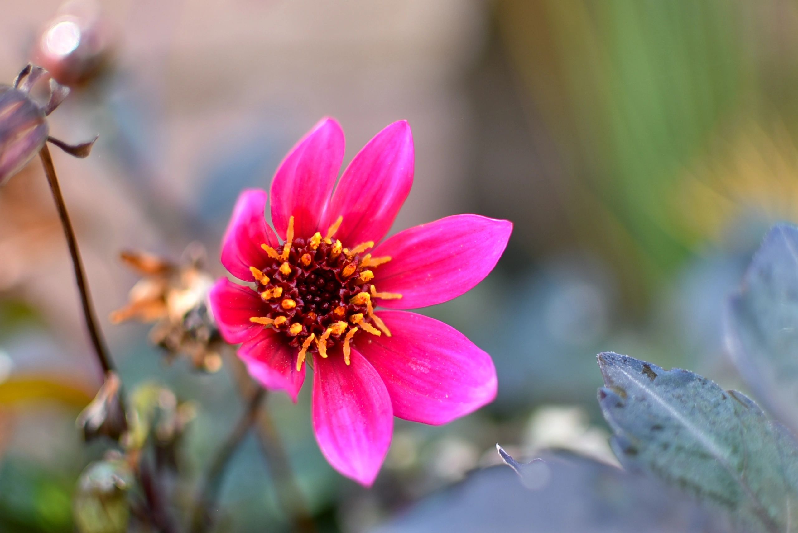 Unique Photo Session Ideas You’ll Love