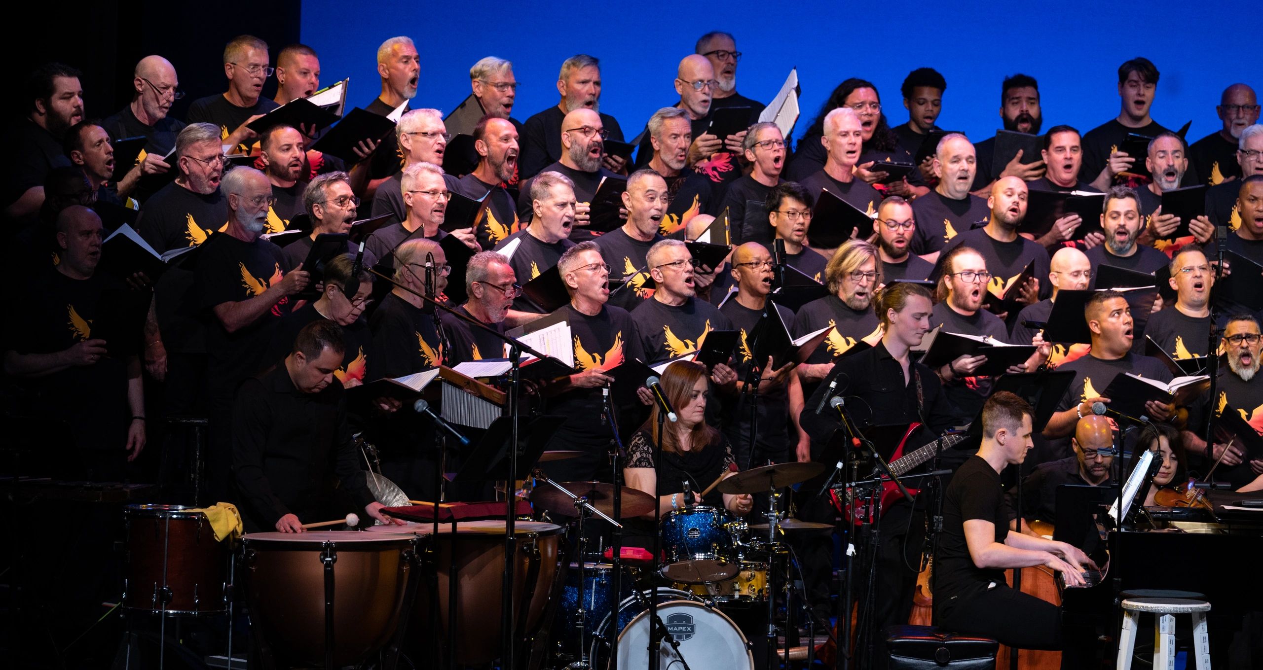 Phoenix Concert Highlights Available On YouTube