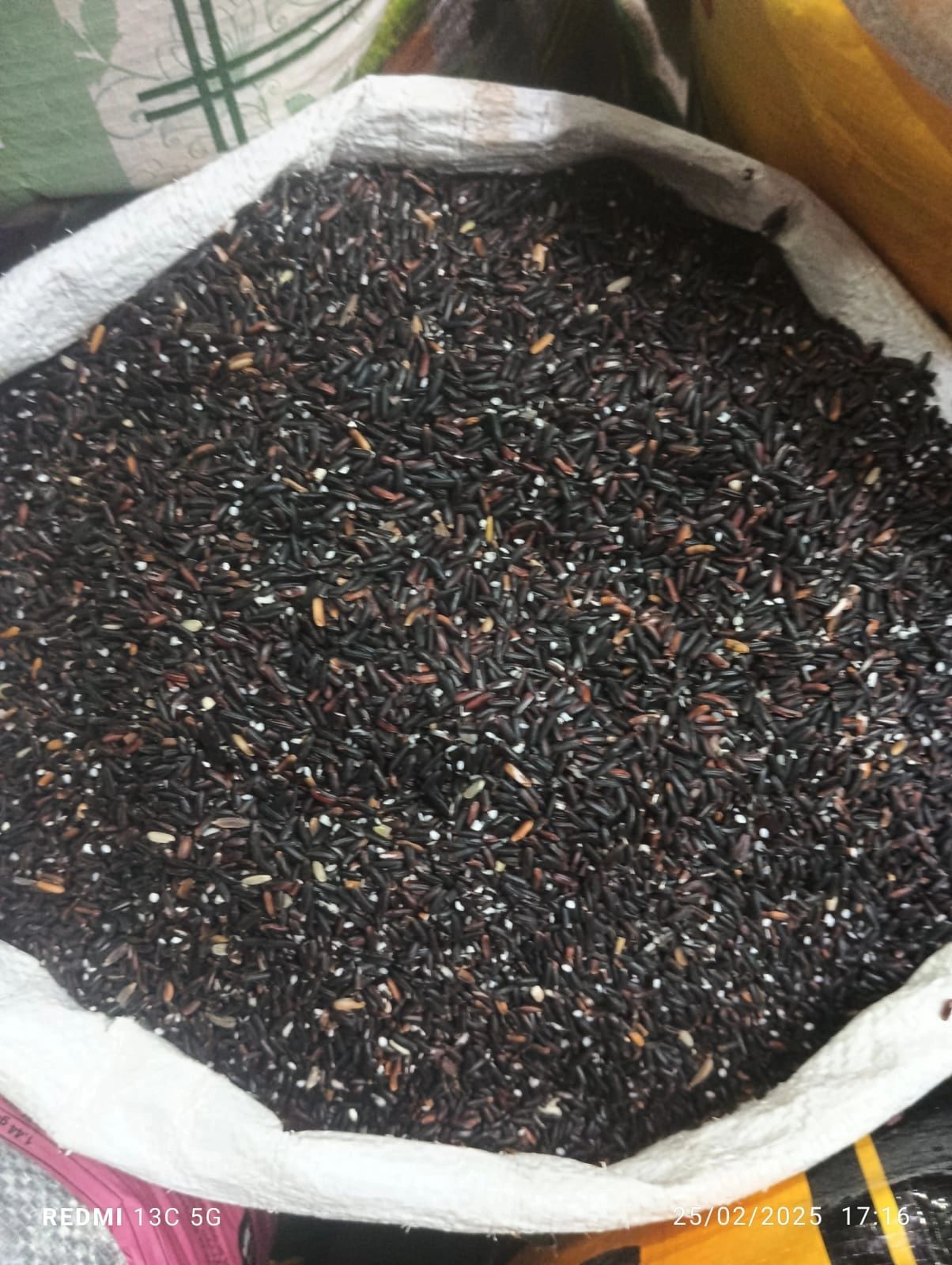 Black Rice Farming in Manipur:Challenges and opportunities