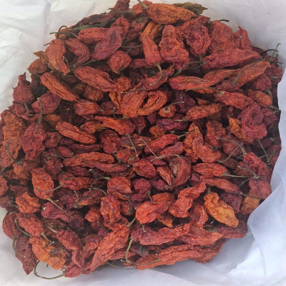 ️ Ghost Pepper Seasoning – Premium Super-Hot Spice Blend from I