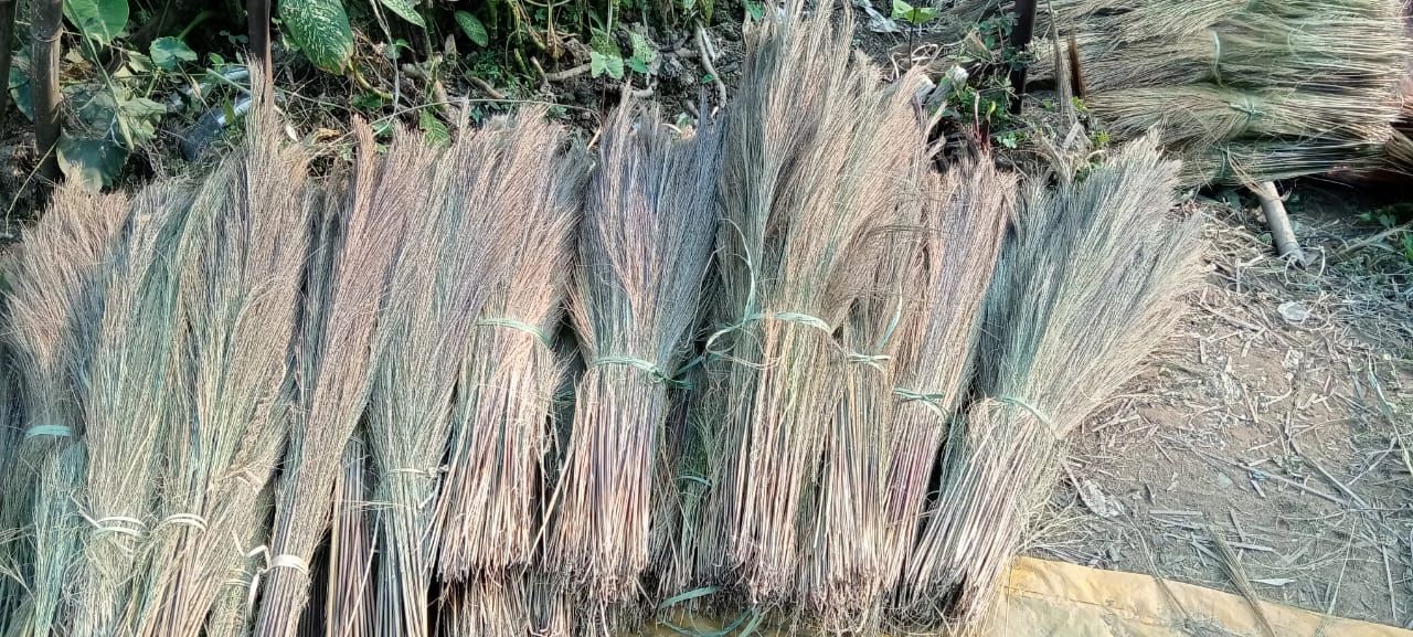 phool wali jhadu price in India what is price of broom झाड़ू घास