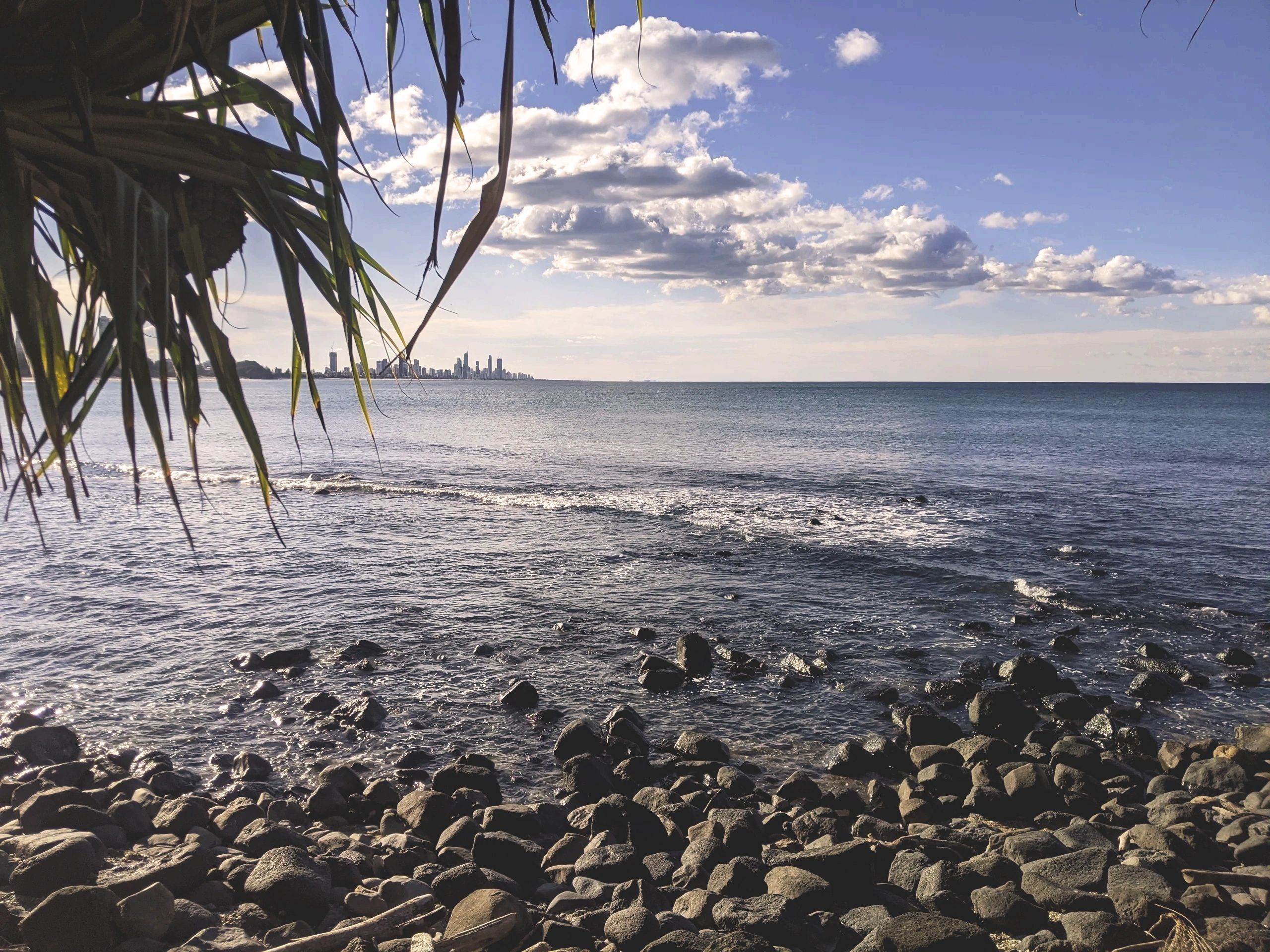 Perspective Wealth Management