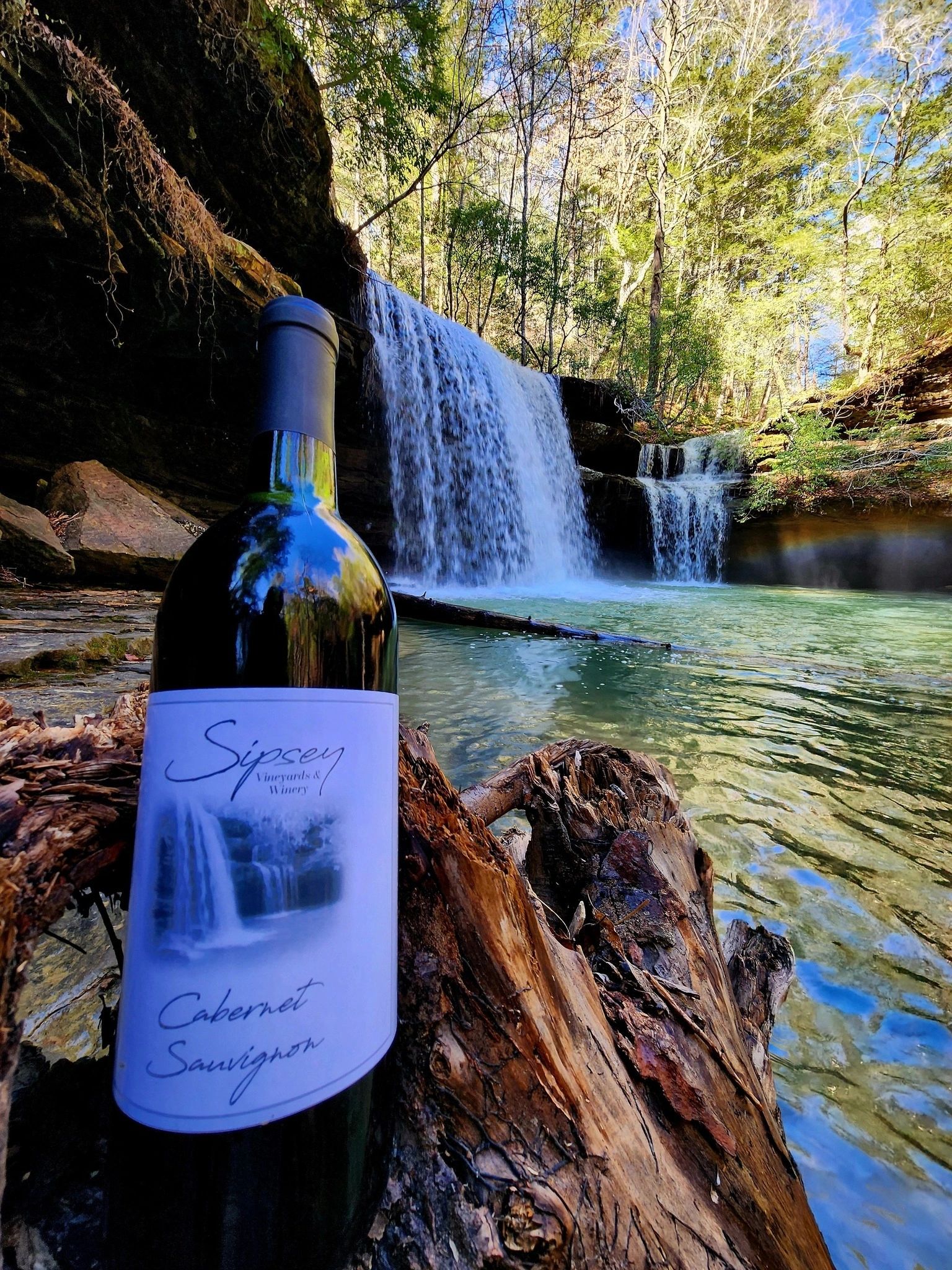 Sipsey Vineyard and Winery - Quality Wines and Ciders, Wine Tastings ...