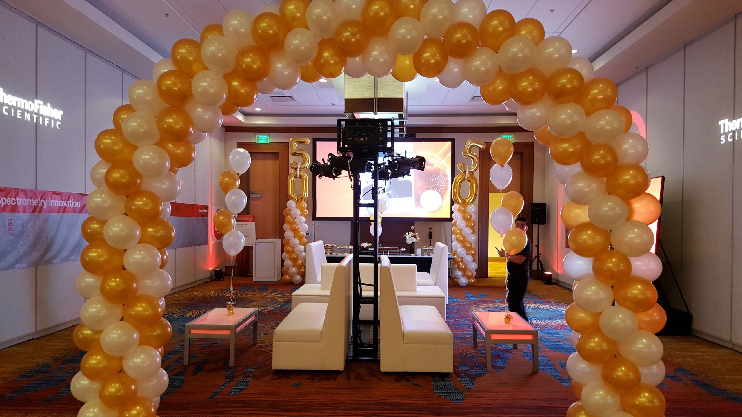 Balloon Decorations and Delivery - The Balloon Lady LLC