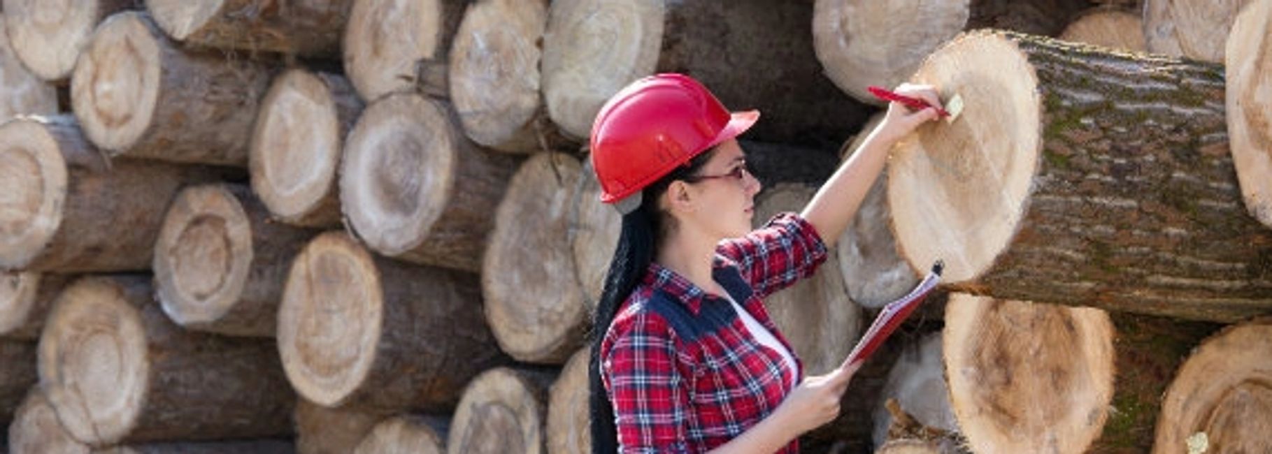 Engeflora Projetos E Consultoria Florestal Ltda | Linkedin Sua porta ...