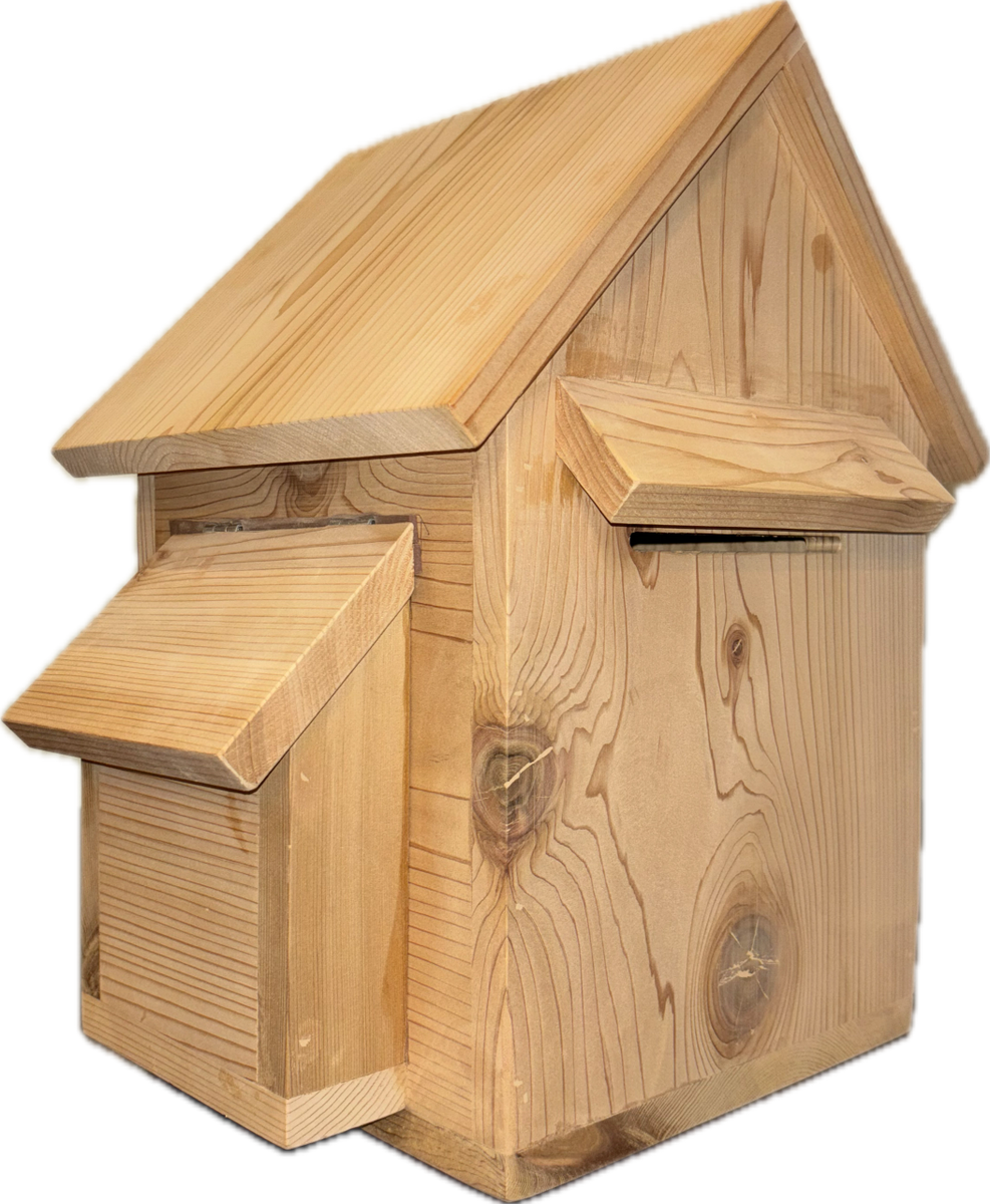 Cedar unfinished Prayer Box