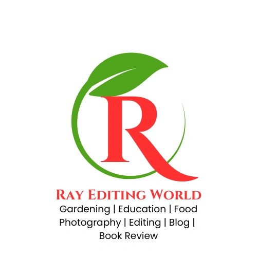 RayEditingWorld
