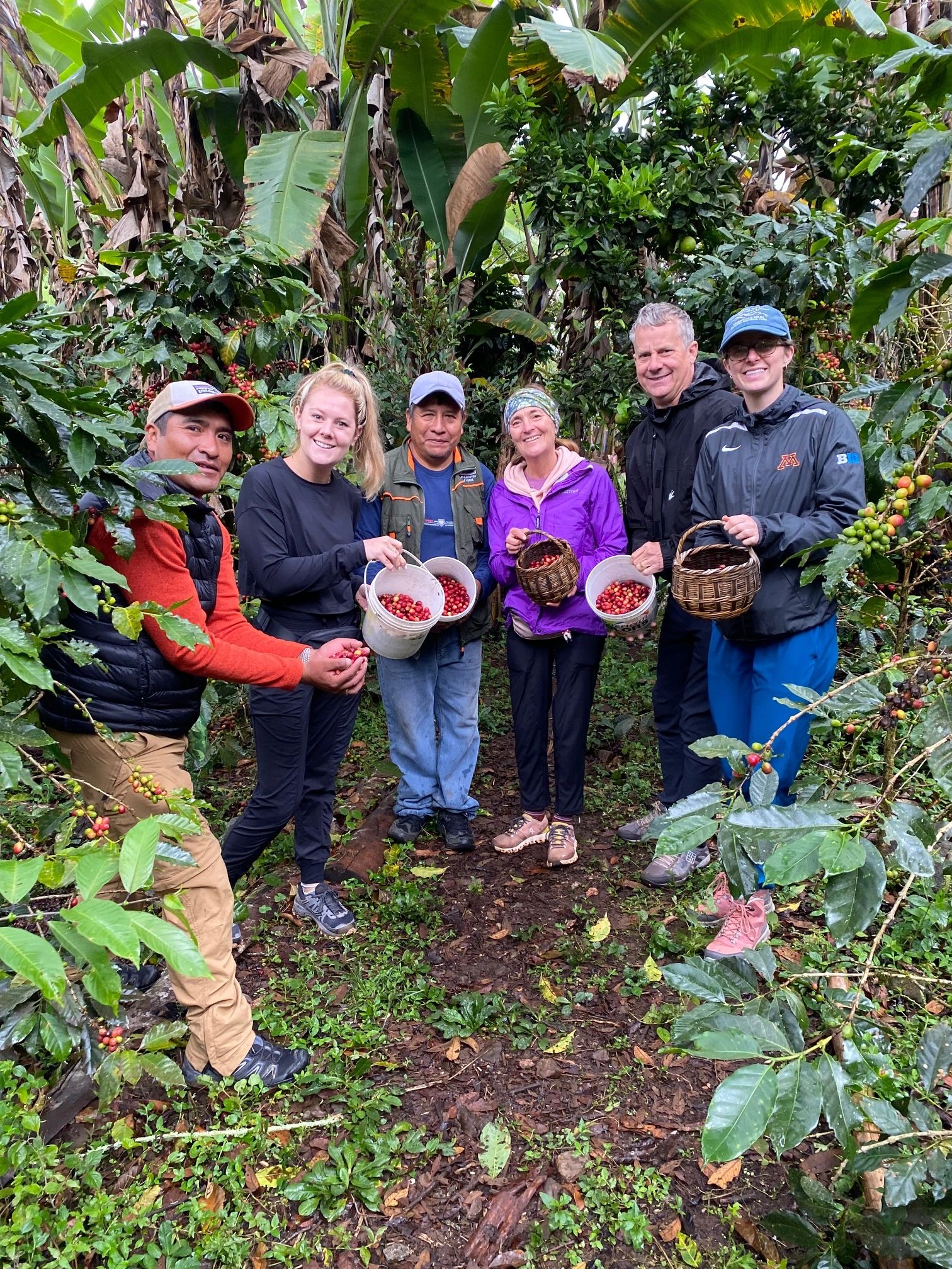 Coffee Farming Practices, do they matter?