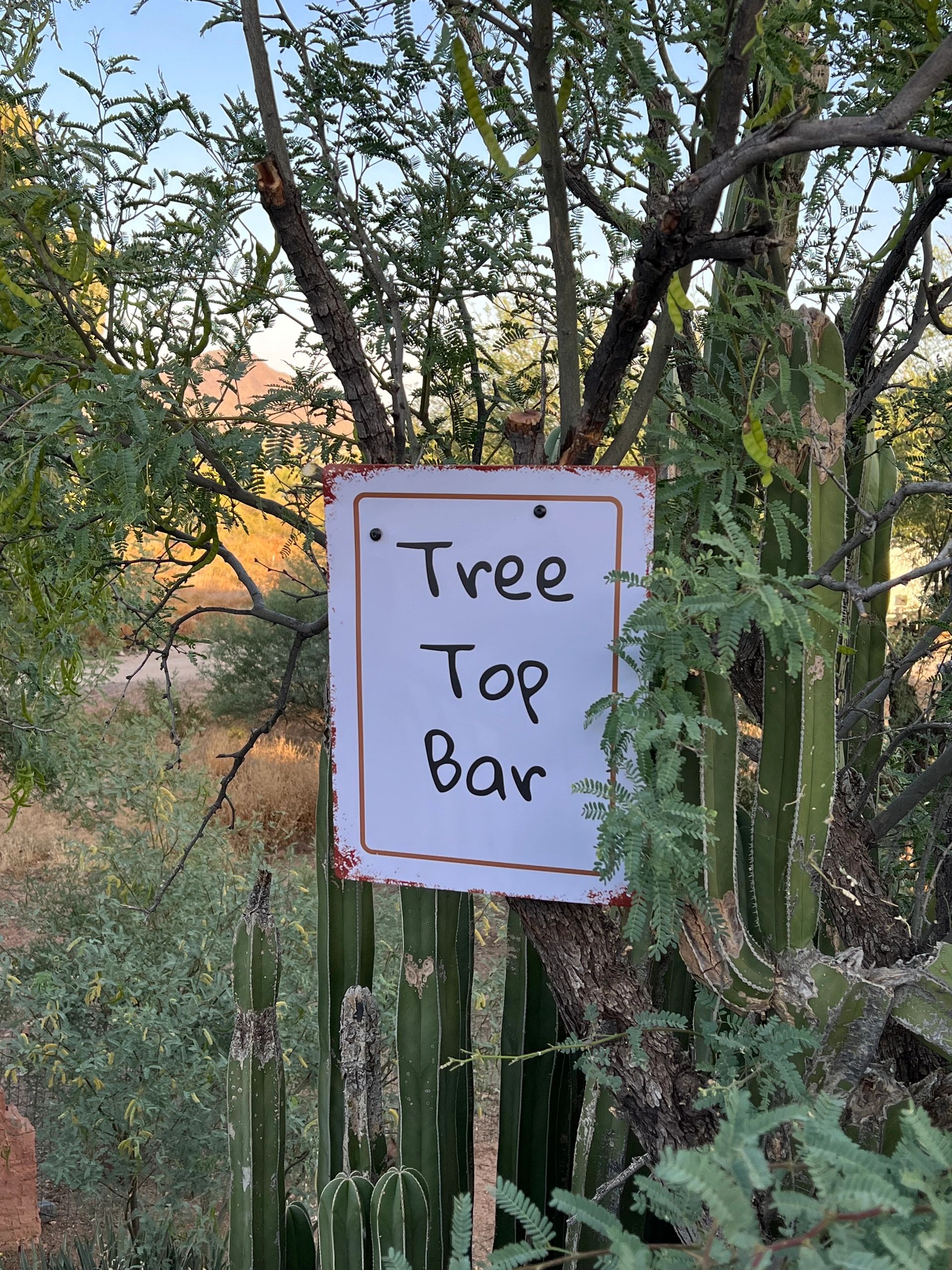 Treetop Bar