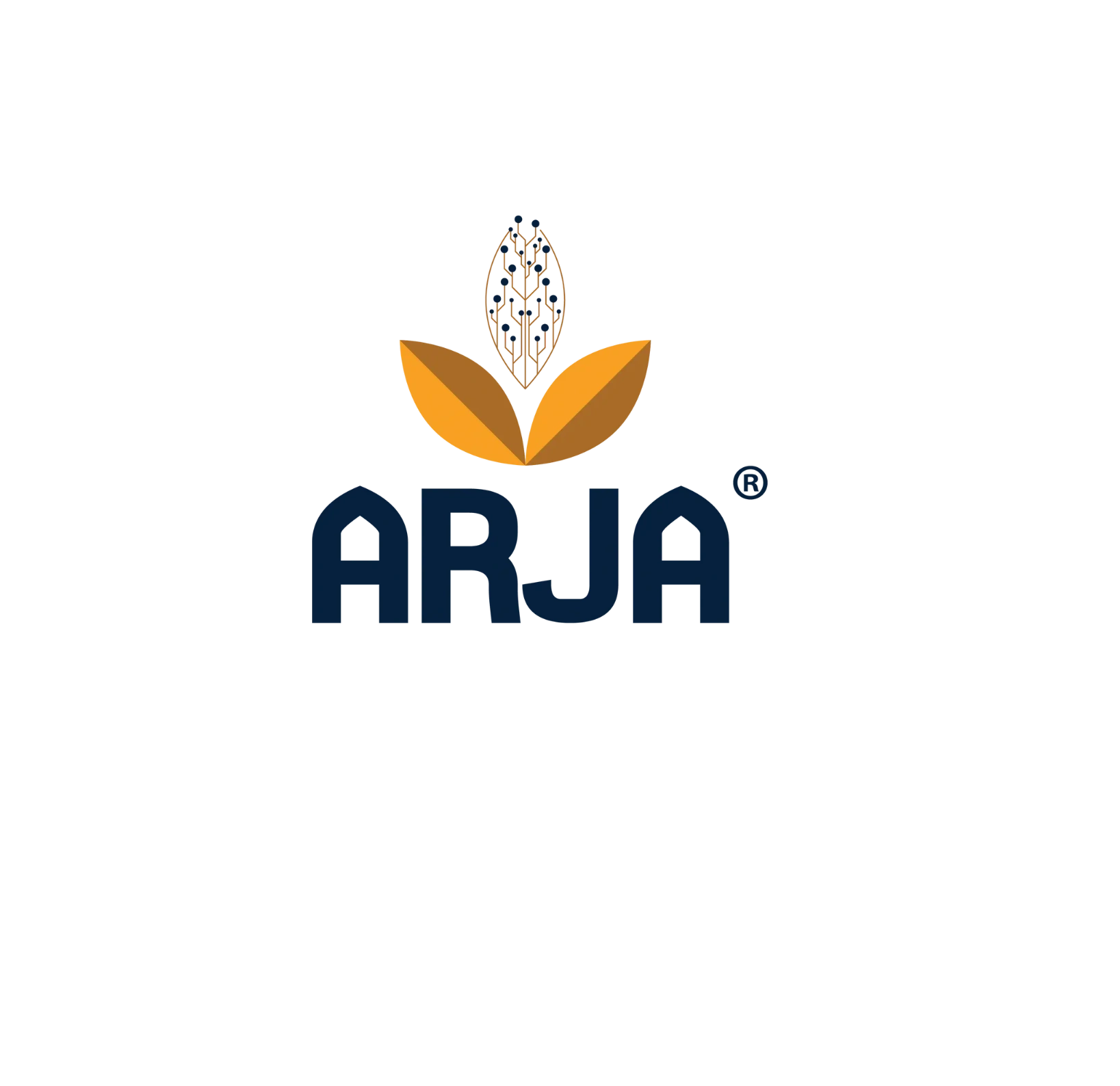 Arja® - Live Streaming, Video Production, IT Services