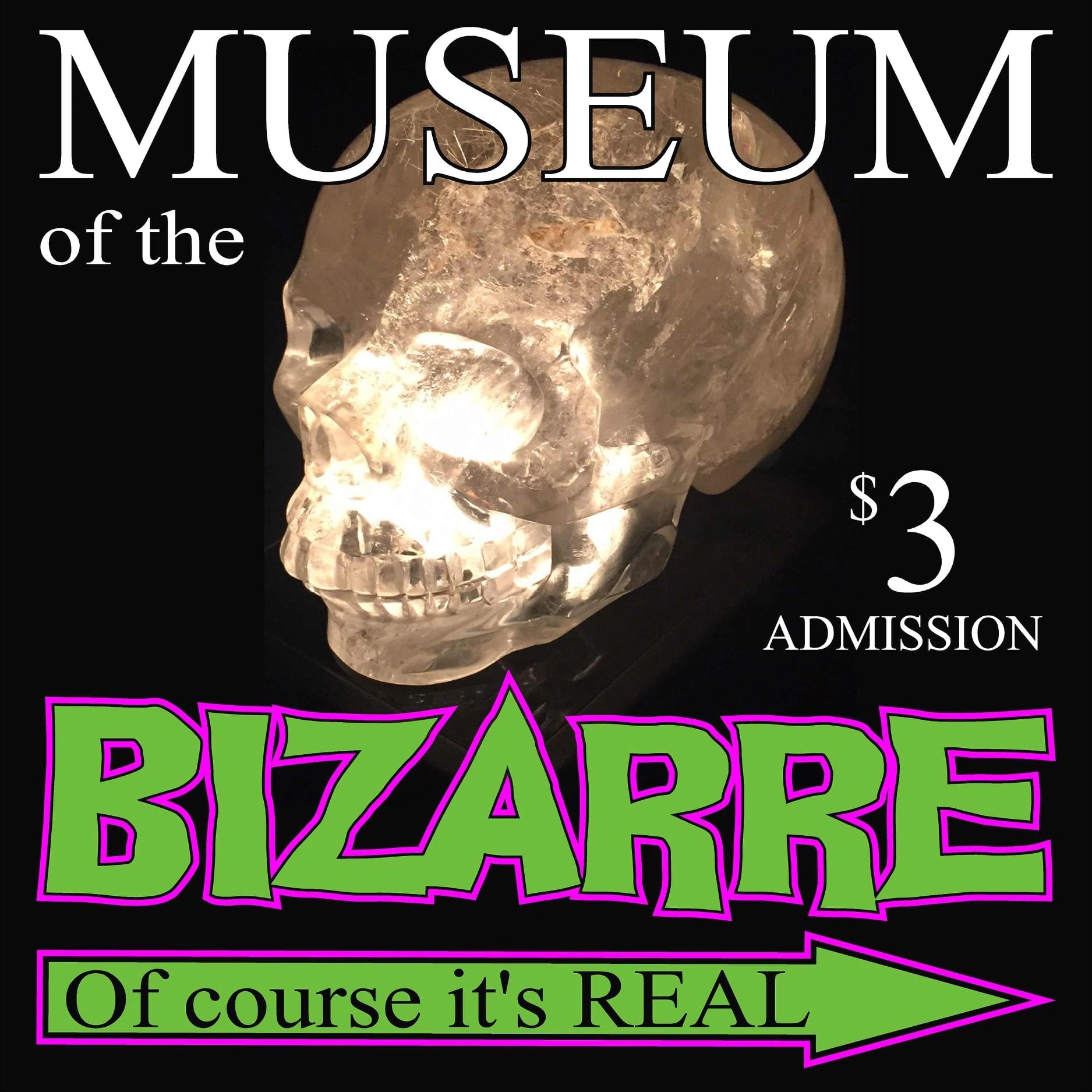 Museum, Bizarre Oddities, Wilmington Nc - MOB - Wilmington, North Carolina