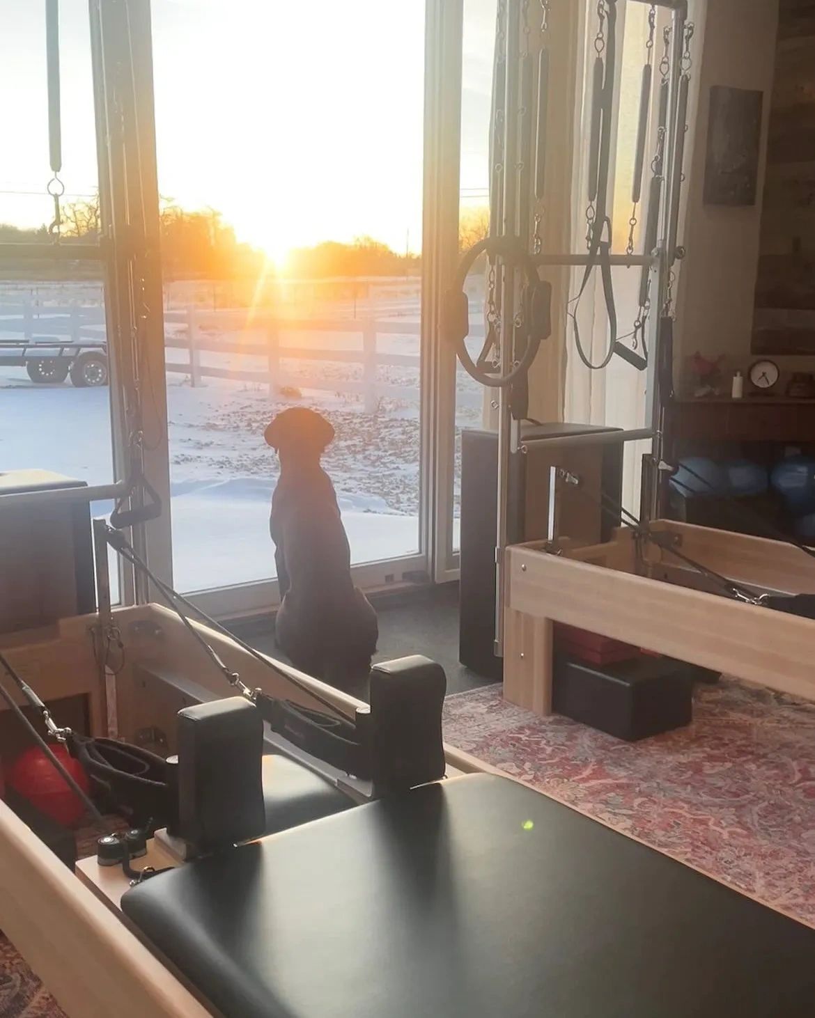 Cardinal Pilates and Nutrition