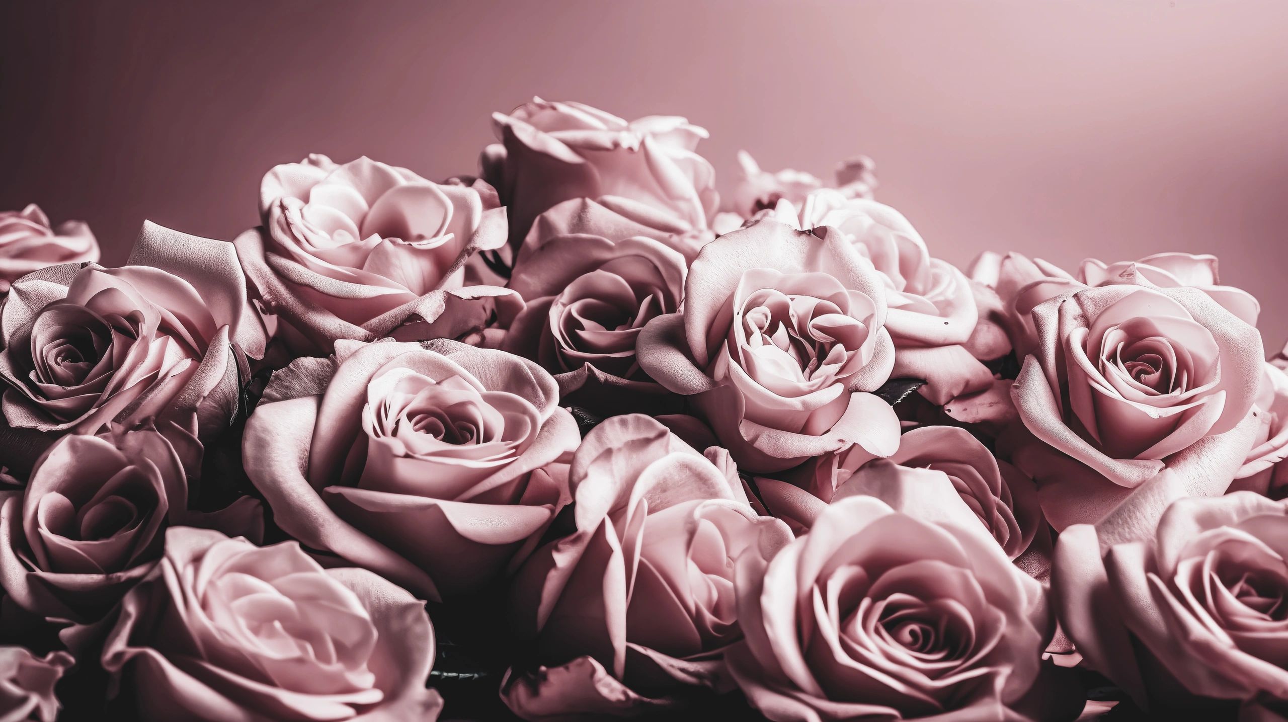 Small-Batch Fragrances | Frances Rose Fragrances