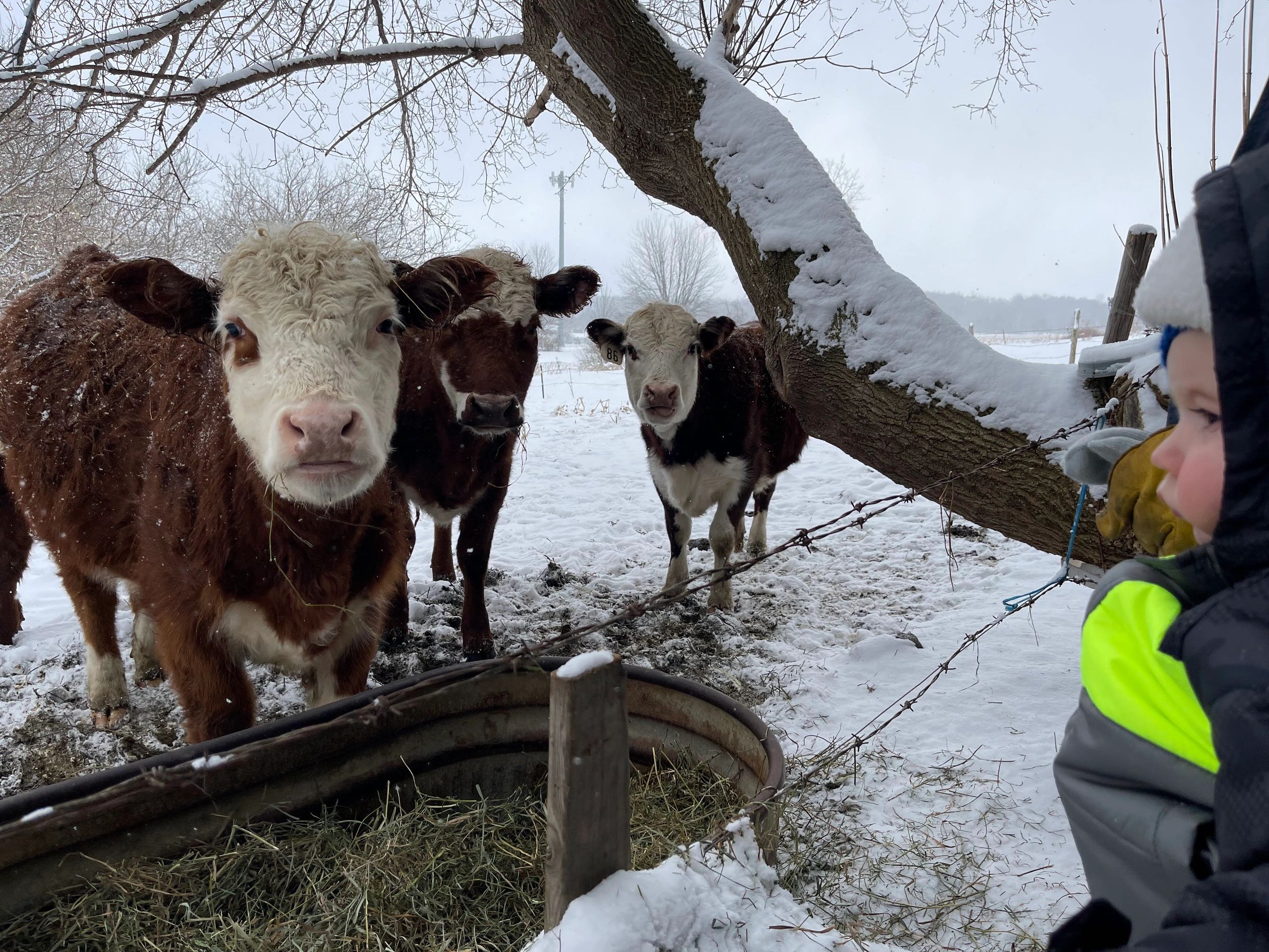 About | Thorp Farms