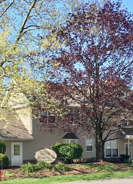 the village of country meadows