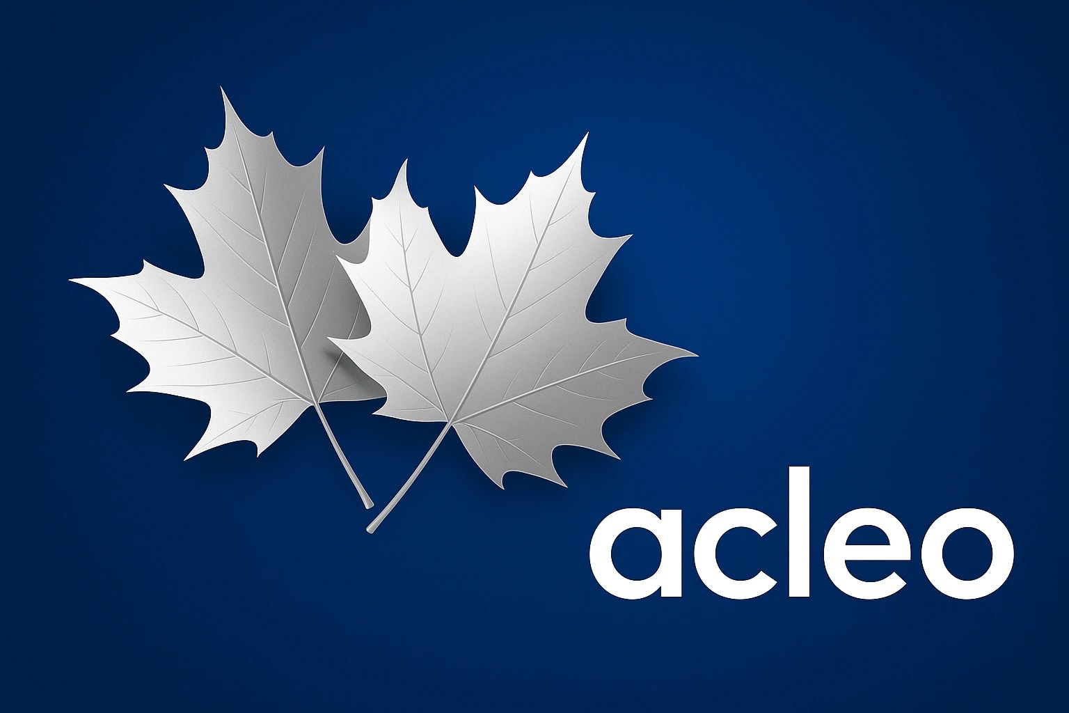 Acleo Strategies Inc.