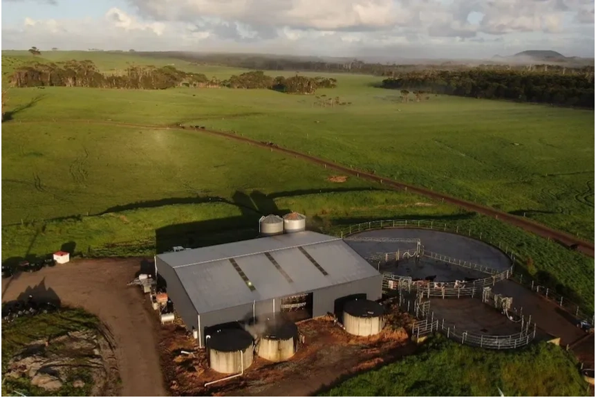 Investment | Circular Head Farms