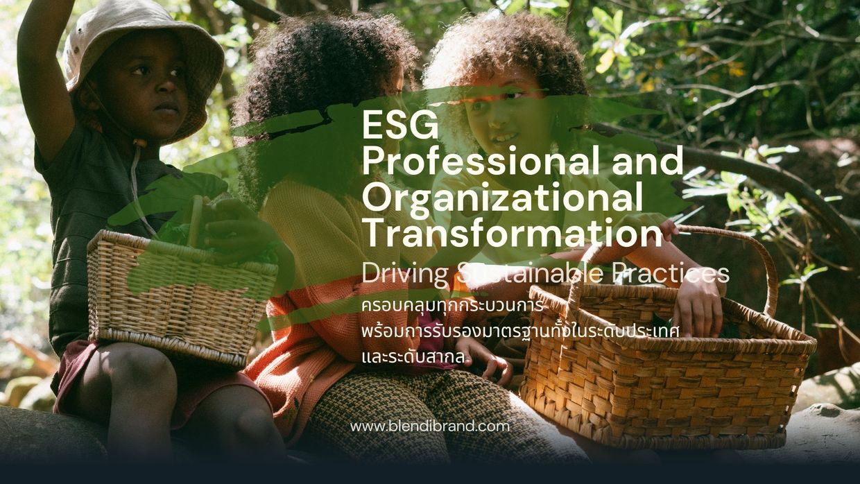 BLENDi BRAND - Esg Professional, Sustainability Consulting, Esg Consultant