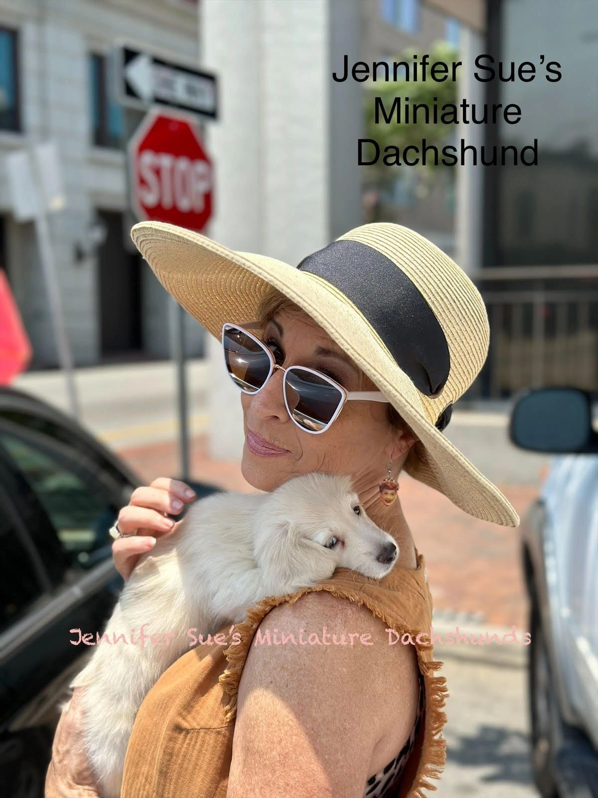 Jennifer Sue's Miniature Dachshunds Raleigh NC