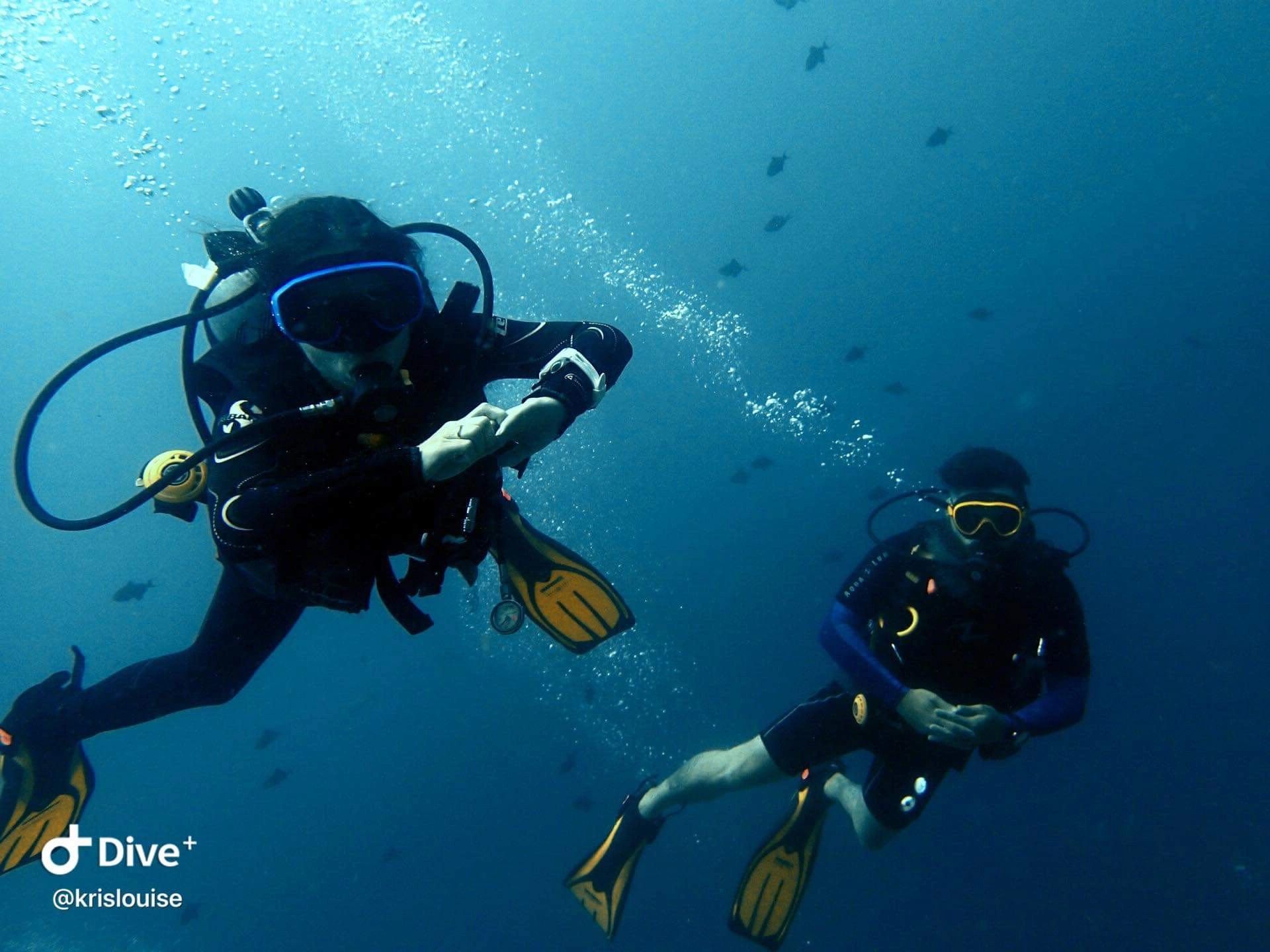Dive Sites Big Apple Dive Resort