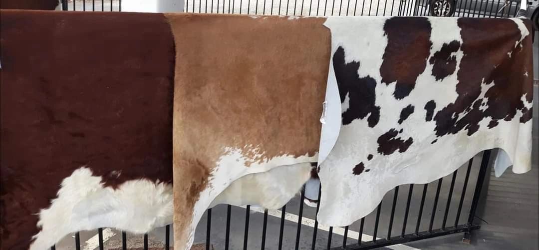 Cow Hides - Hides-knives-leather