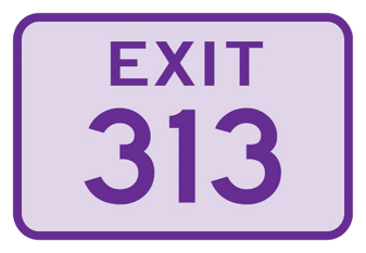 Shop the Latest Exit 313 Merchandise Online