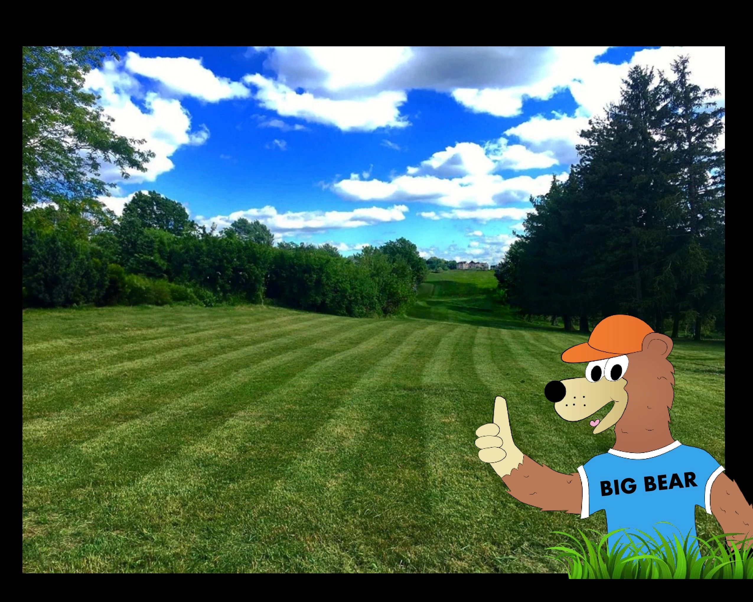 Big Bear Lawn Care and Landscaping - Landscaping, Lawn Care Services