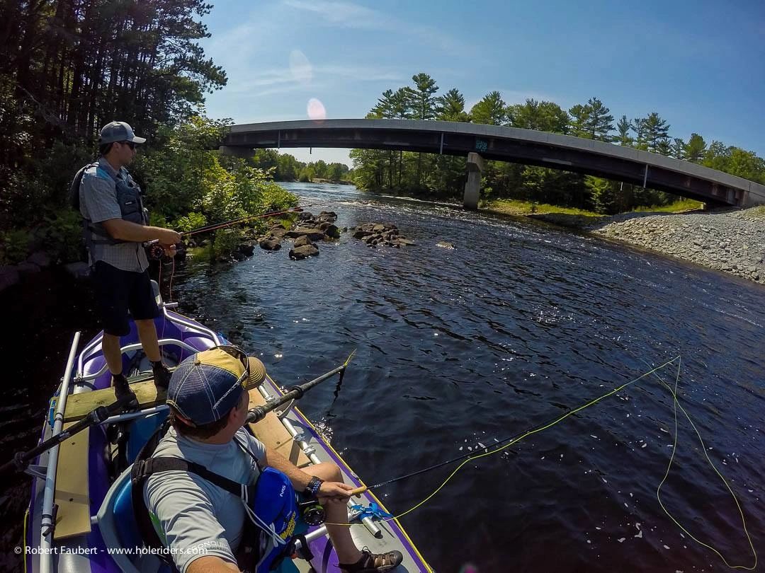 Algonquin Fly Fishing - Fly Fishing, Algonquin, Fishing, Fly Fishing
