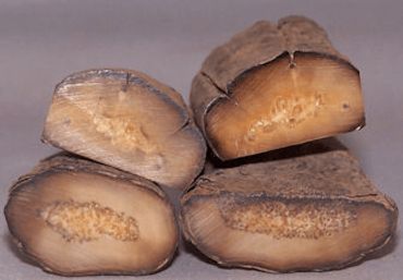 Custom Inlay, Inc. - Custom Inlay, Truss Rod Cover, Gibson