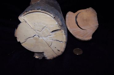 Custom Inlay, Inc. - Custom Inlay, Truss Rod Cover, Gibson