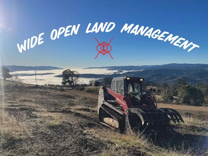 Professional Land Clearing Services