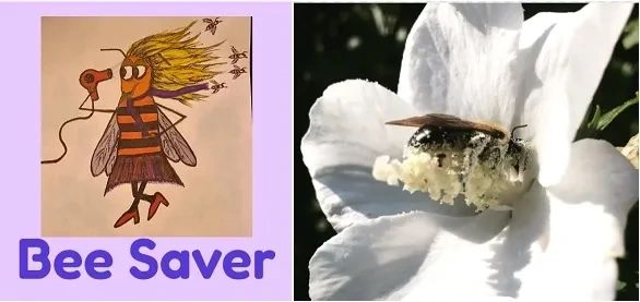 Bee Saver