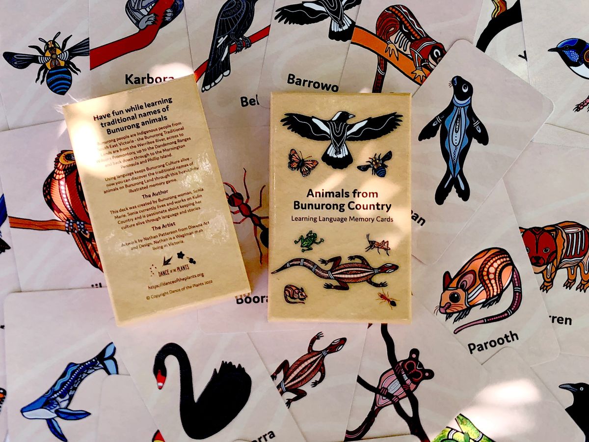 Kulin Language Memory Cards