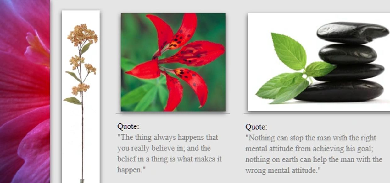 Ogleby Sisters Soap & The Best Soap for MEN - Organic Skincare