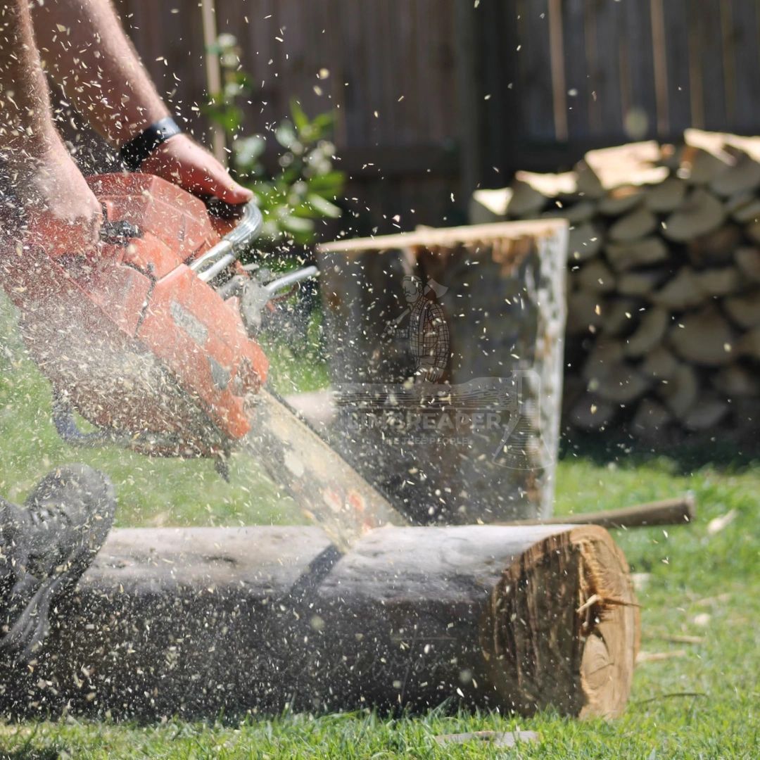 Limb Reaper - Tree Removal, Tree Services, Tree Lopping, Tree Removal