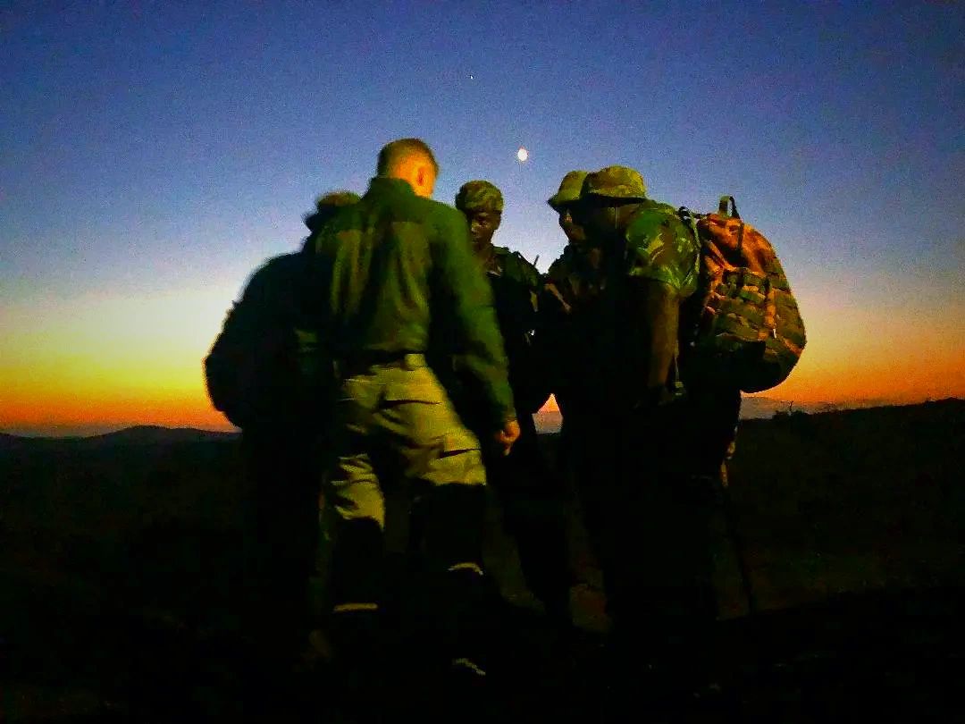 DONATE | Wildlife Defense