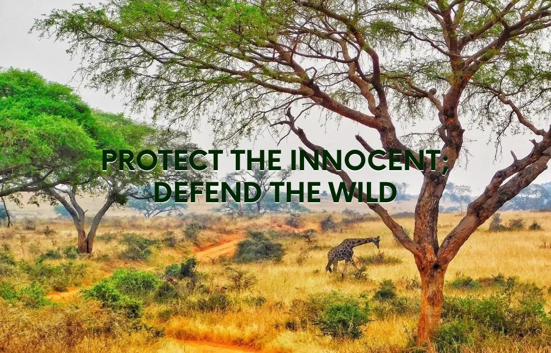 Wildlife Defense