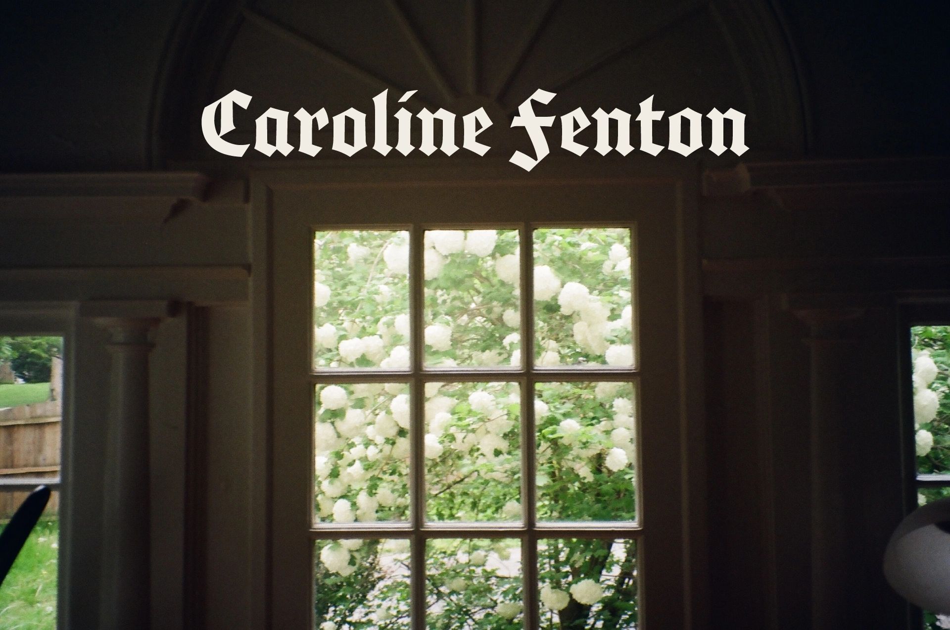 Caroline Fenton Art