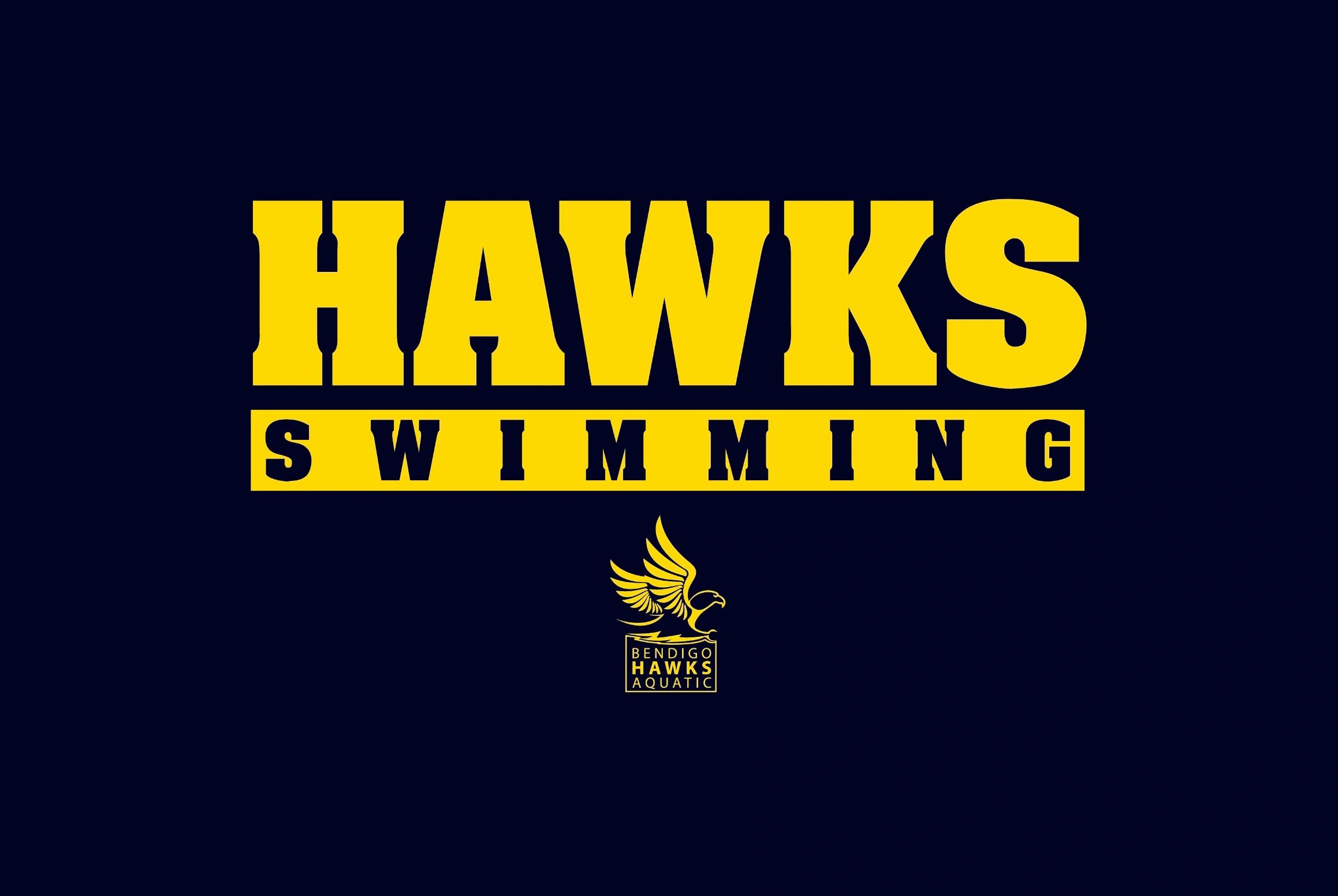 Bendigo Hawks Aquatic launch new 3-year strategic plan