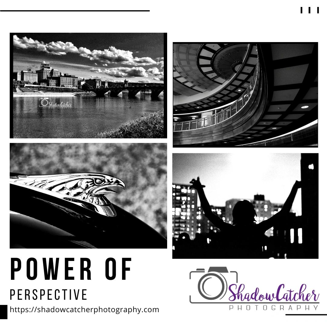 The Power of Perspective in Photography